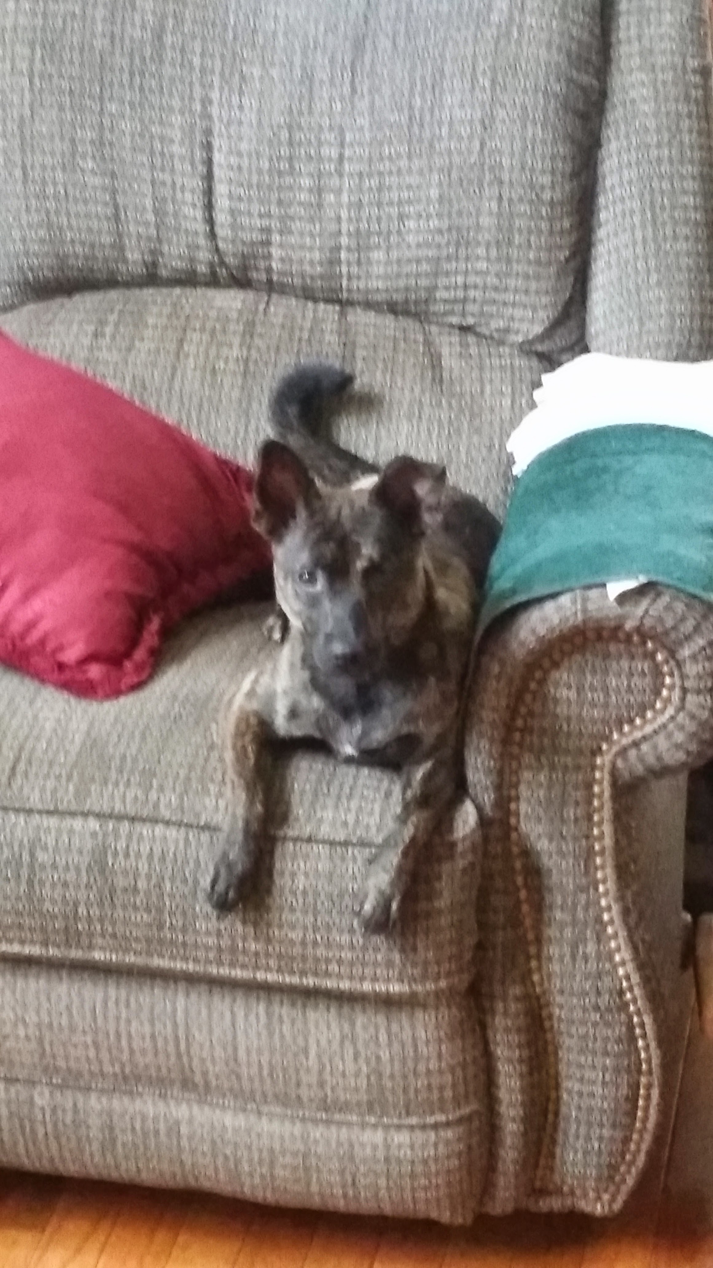 The Disappearing Shadow – The Pencil Driven Life